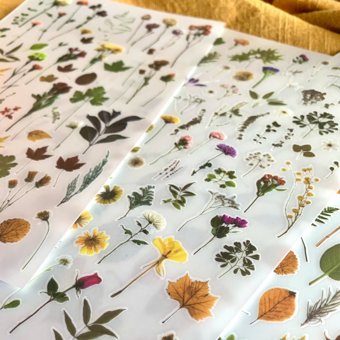 Botanical Rub-On Transfer Sticker – Goyna Studio